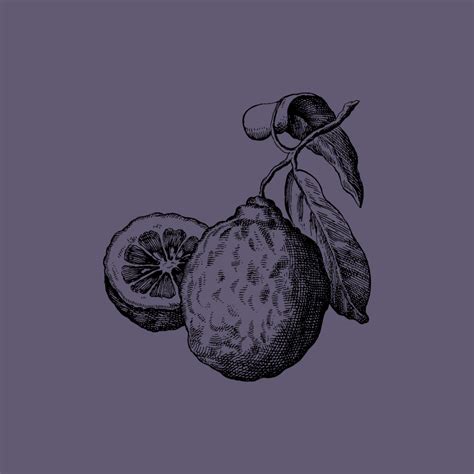 1 On 1 Business Mentoring Expert Guides Your Business Compass