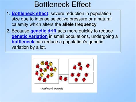 Speciation Ppt Download