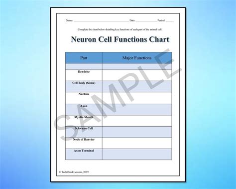 Neuron Cell Labeling And Functions Science Worksheet Editable Digital Download Etsy
