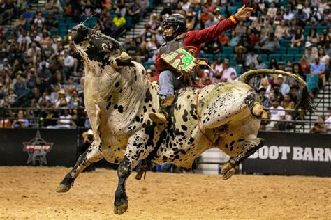 Scenes From The Bill Pickett Invitational Rodeo The Nations Only