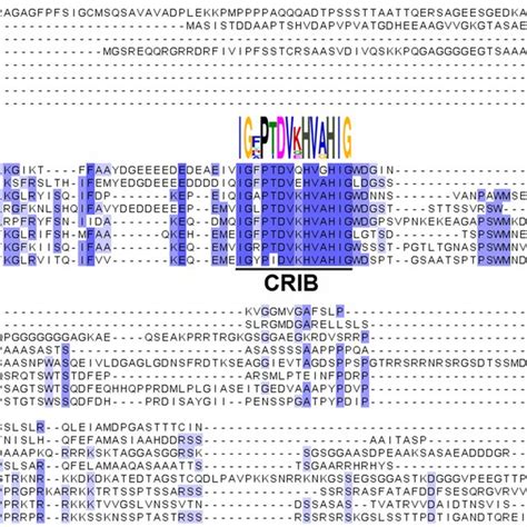 barley ric proteins alignment multiple alignment download
