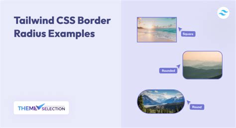 Tailwind Border Radius A Complete Guide ThemeSelection