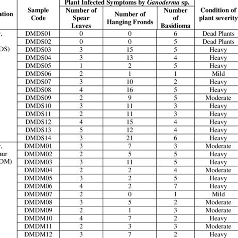 Description Of The Condition Of The Oil Palm Trees Attacked By Download Scientific Diagram