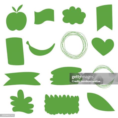 16 Tree Growth Stage High Res Illustrations Getty Images