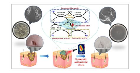 Nanoarchitectonics Of Bimetallic Cu Co Doped Nitrogencarbon Nanozyme