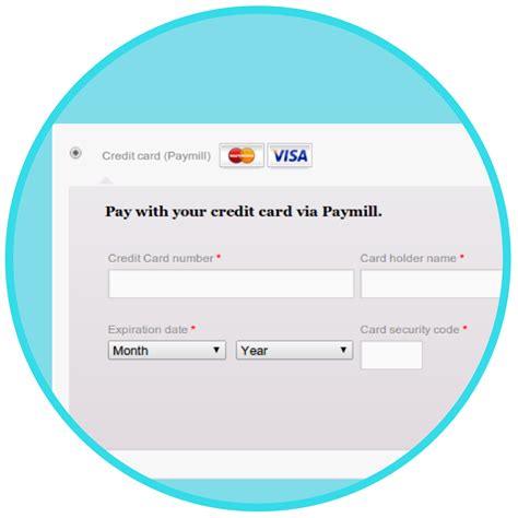 Woocommerce Paymill Payment Gateway • 25