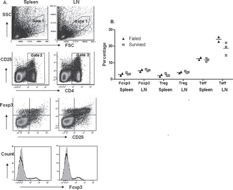 Fluorescence Activated Cell Sorting Facs Analysis Of Foxp3⁺ Tregs Download Scientific