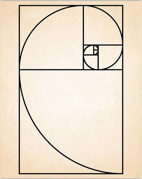 Fibonacci Sequence In 2025 Fibonacci Spiral Art Fibonacci Spiral