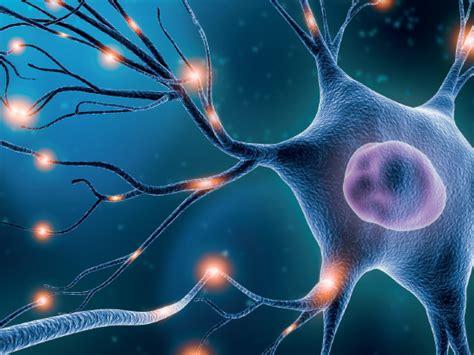 Can We Control The Electrical Activity In Our Brains Teaching Resources