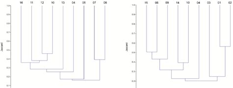 dendrogram of floristic similarity obtained by the method of
