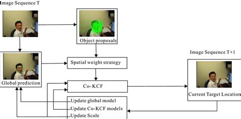 A Framework Of Our Proposed Tracker Download Scientific Diagram