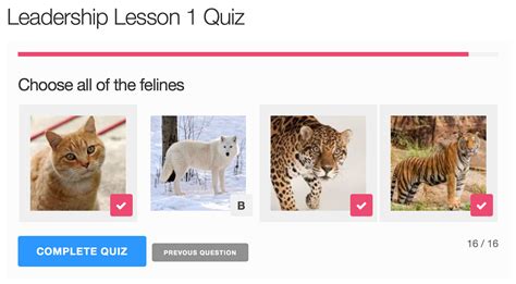 picture multiple choice multiple correct answers question type lifterlms