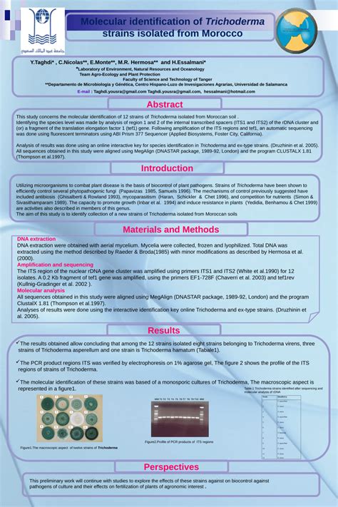 Pdf Molecular Identification Of Trichoderma Strains