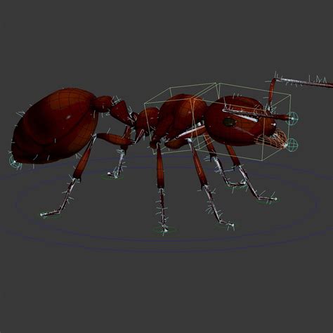 Fire Ant 3d Model 39 Max Free3d