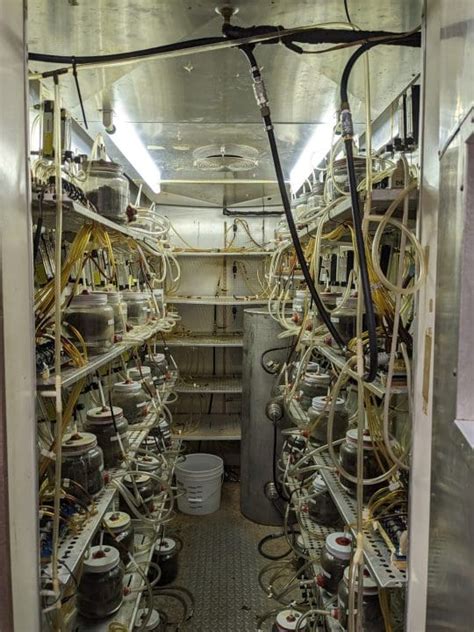 Msu School Of Packaging And Plastic Msu Innovation Center