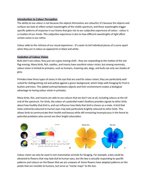 Colour Perception Module Notes Introducon To Colour Percepon The Ability To See Colour Is Not