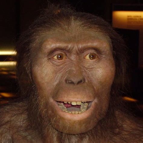 Еволюція людини Етапи еволюції Тест з біології «На Урок