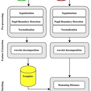 Iris Recognition Process And Methodology Download Scientific Diagram