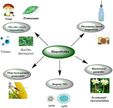 Biopesticides Types Advantages Limitations Applications Notes Bioteck Ink