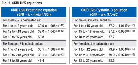 Egfr Equations In The Ehr—how Lab Met The Request Cap Today