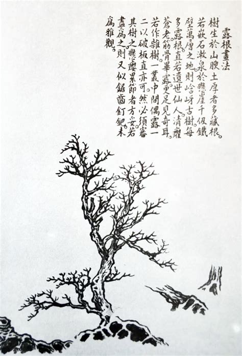 画枯树 简笔画 简单 大山谷图库
