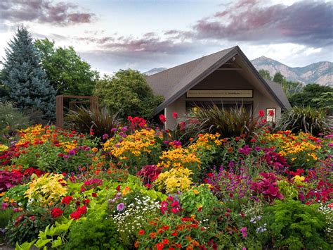 Utah State University Extension Keep The Birds Happy And Full Through