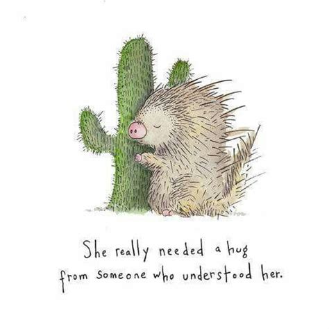 Porcupines Poem