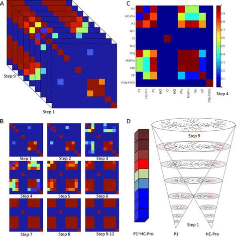 voxel representation of the simpson index a voxel representation of