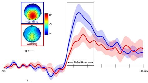 3 Mean Event Related Potential Waveforms Difference Of Activity