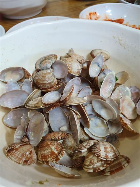 블라인드 블라블라 저녁은 바지락 칼국수