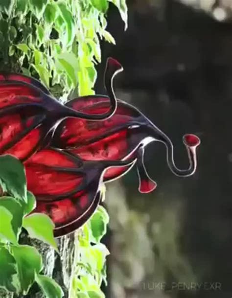 Sangeetha Kumaravel Posted On Linkedin