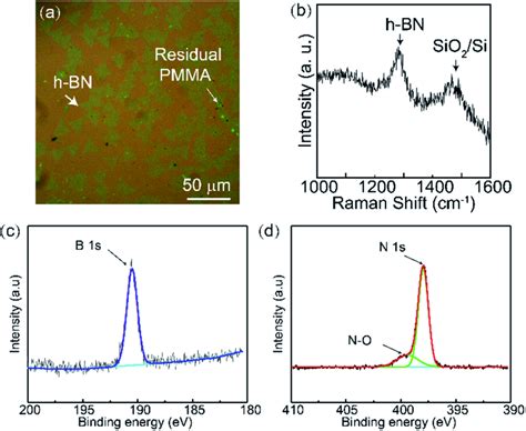 A Om Image Of Single Crystal H Bn On A 300 Nm Thick Sio2 Si Download Scientific Diagram