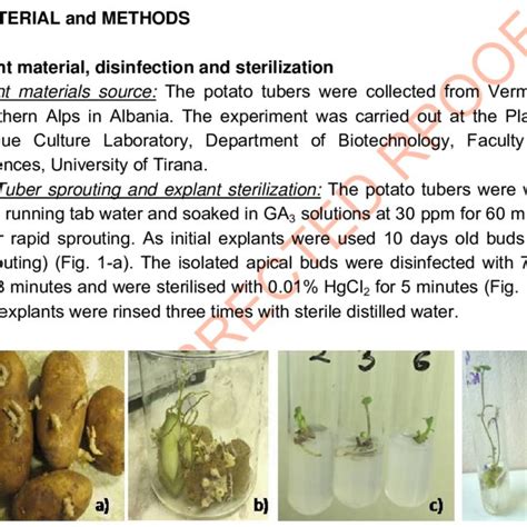 Pdf Effect Of Growth Regulators On Micropropagation And In Vitro Tuberization Of Solanum