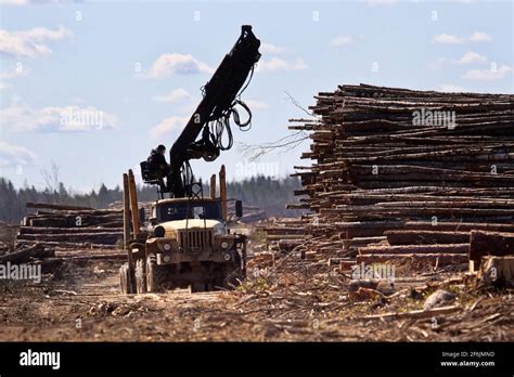 Forest Industry Operations For Loading Unloading Logging Truck At