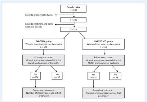Flowchart Of Cohort Selection For Analysis Of Reproductive Outcomes In Download Scientific