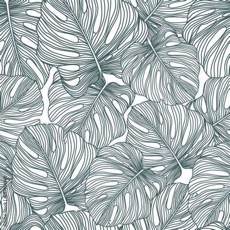Tropical Monstera Leaves Seamless Pattern Botanical Leaf Stock Vector