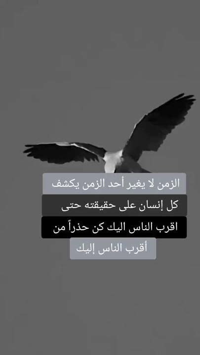 Tiktok · 🇹🇷🚶‍♀️dukturuh Sarah🇪🇬🚶‍ Twitter Image Twitter Card Coding