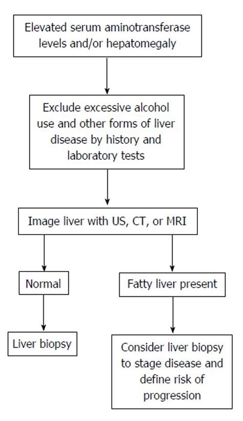 Non Alcoholic Fatty Liver Disease The Diagnosis And Management