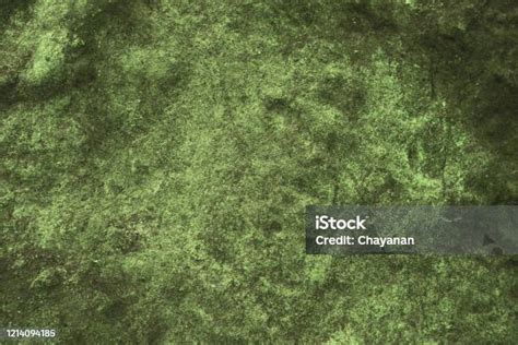 내부 동굴의 고대 건조 녹색 이끼 화강암 돌 표면 고대의에 대한 스톡 사진 및 기타 이미지 고대의 광물질 구리 Istock