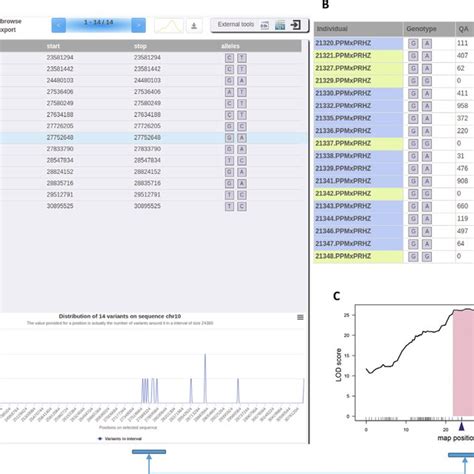 Discriminating Variants A Filtering Parameters And Variant