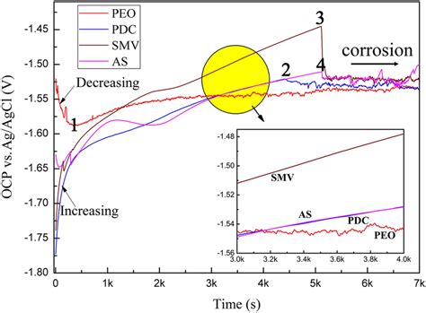Variation Of Ocp With Immersion Time In 35 Wt Nacl Solution After Download Scientific Diagram