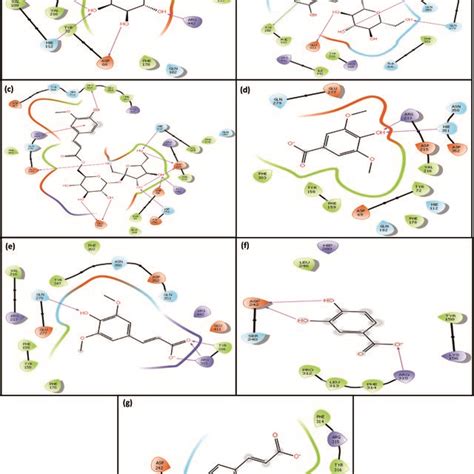 Rmsd Graph Of The Protein Ligand Complex Formed Between Cog And Human