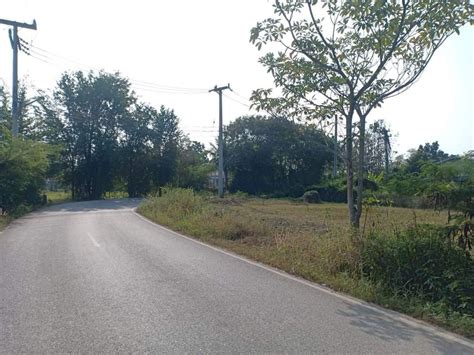 ขายที่ดินดอยสะเก็ตแม่คือติดถนนทำเลดีโฉนดพร้อมโอน ที่ดินร้อยแปด คอม