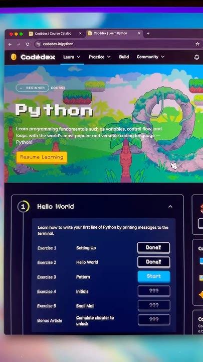 Learn Almost Any Programming Languages Programming Coding Development Youtube