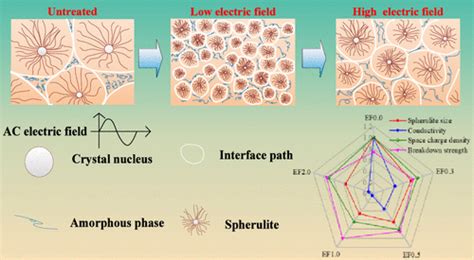 Morphology And Electrical Properties Of Ac Electric Field Assisted Low