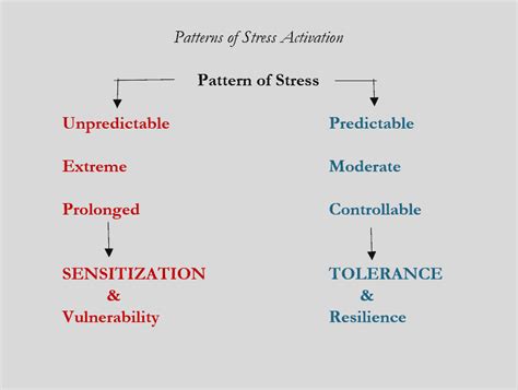 Helplessness Stress And Learned Resilience Under Standings