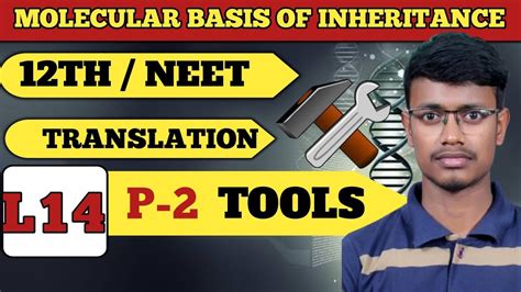 12th cbse neet molecular basis of inheritance lec no 14 translation