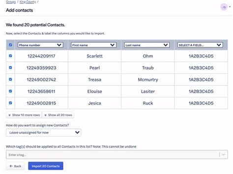 how do i use custom fields hustle