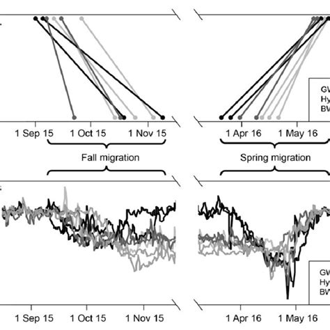 Migration Duration With Arrival And Departure Dates A And Longitude Download Scientific