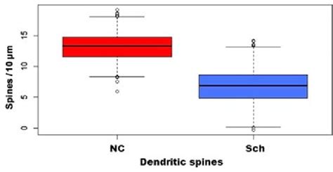 Spinal Density Of The Pyramidal Neurons Of The Visual Cortex From Nc Download Scientific